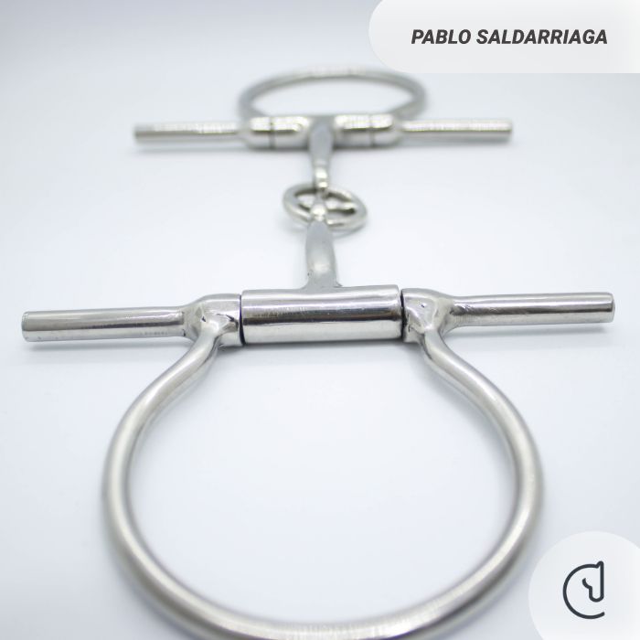 Filete de palitos articulado - Pablo Saldarriaga - CABALLO ECUESTRE
