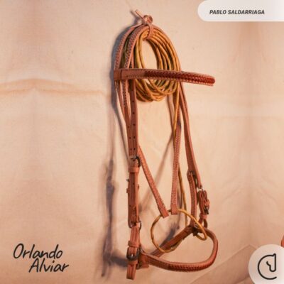 CABALLO ECUESTRE - Todo lo que su caballo y usted necesitan