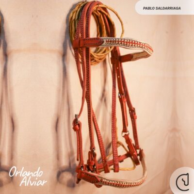 Jáquimas - CABALLO ECUESTRE